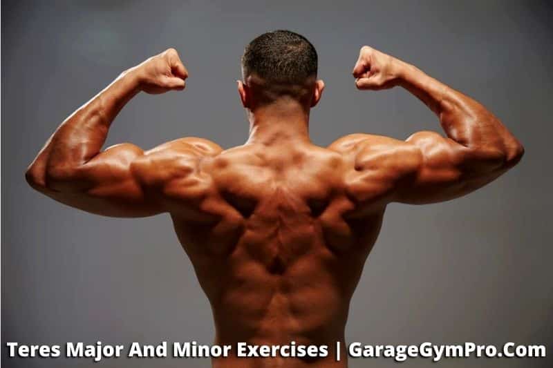 13 Best Teres Major and Minor Exercises (With Pictures)