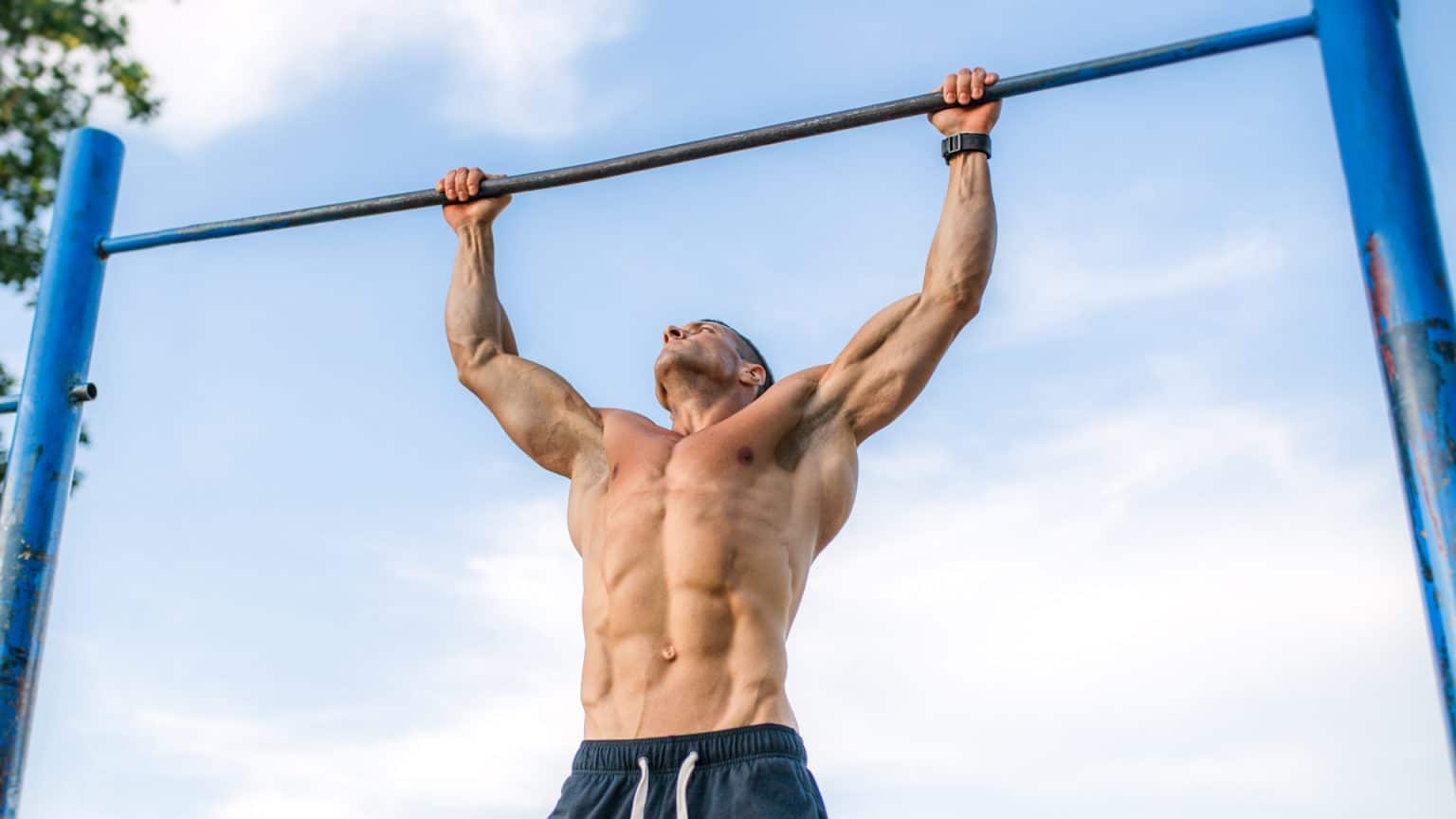10 Best Chin Up Alternatives (For A Powerful Upper Body)