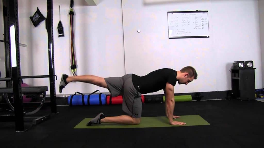 8 Best Side Plank Alternative Exercises For A Stronger Core