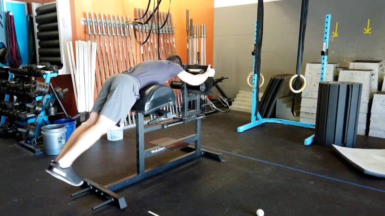6 Best Reverse Hyperextension Alternative Exercises