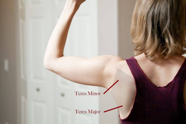 13 Best Teres Major and Minor Exercises (With Pictures)