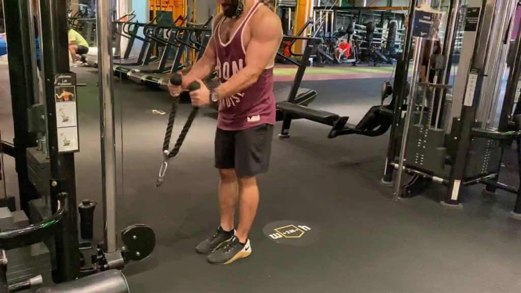 15 Best Cable Arm Exercises (For Massive Arms)