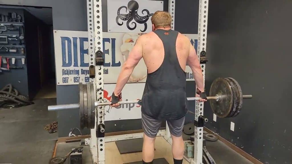 8 Best Shrug Alternatives (For Massive Traps)