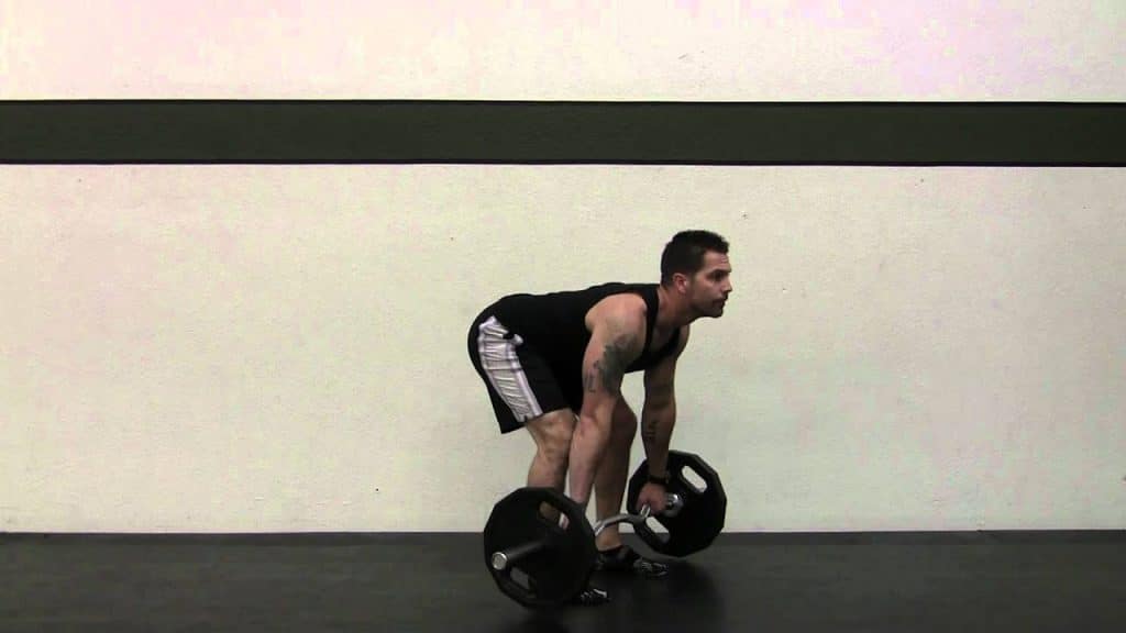 15 Best EZ Curl Bar Exercises (Must-Try Routines)