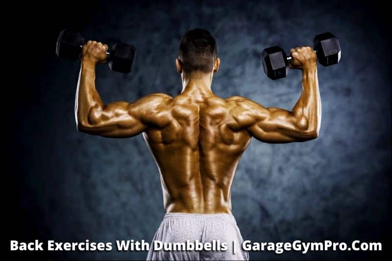 14 Most Effective Dumbbell Back Exercises (For A Huge Back)