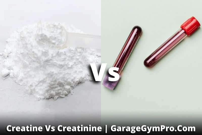 Creatine Vs Creatinine (What Are The Key Differences?)