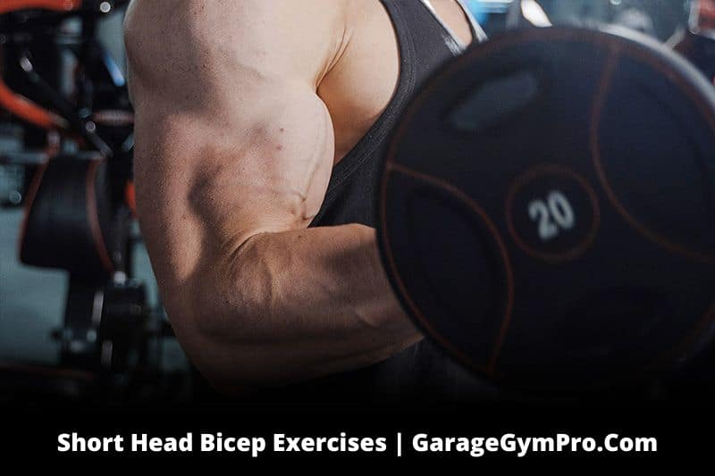 12 Short Head Bicep Exercises For Massive Upper Arms