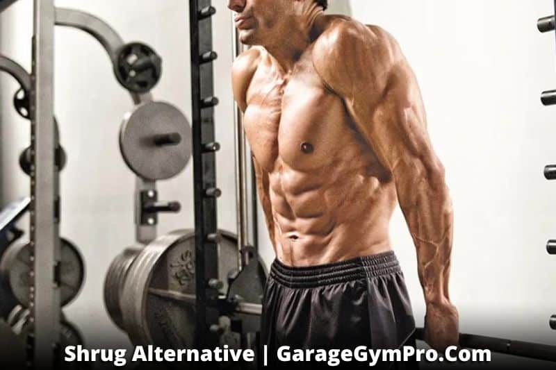 8 Best Shrug Alternatives (For Massive Traps)