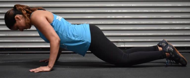 14 Best Push Up Alternative Exercises (With Pictures)